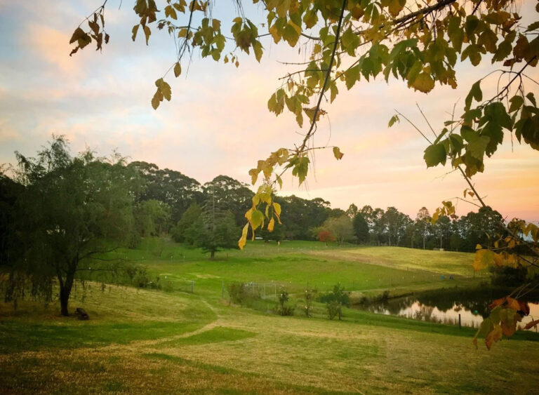 Plum Village Practice Centers – Magnolia Grove Meditation Practice Center