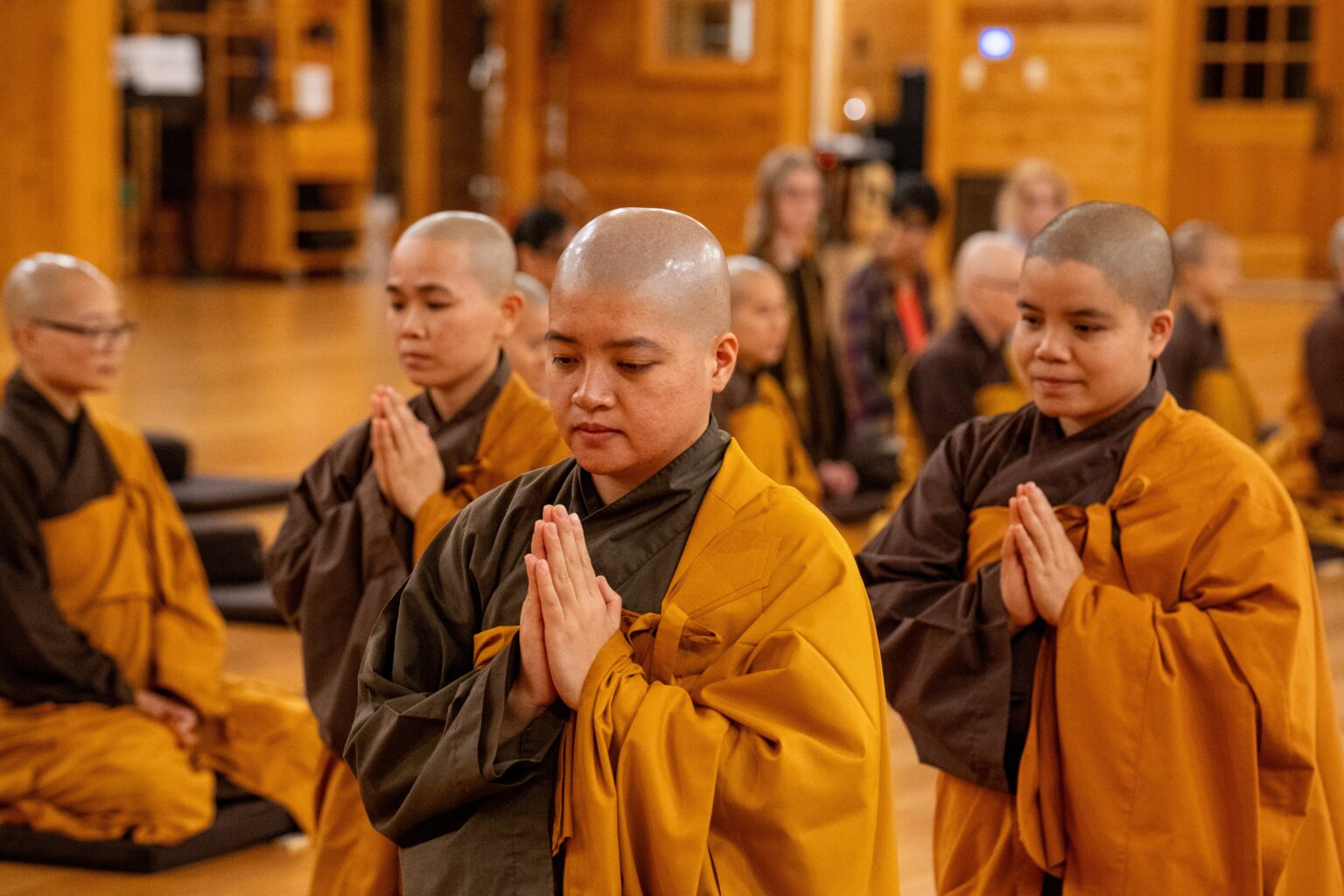 Become A Monastic – Magnolia Grove Meditation Practice Center